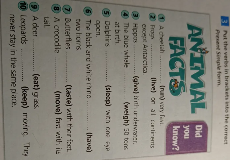 Put the verbs in brackets into the correct Present Simple form ...