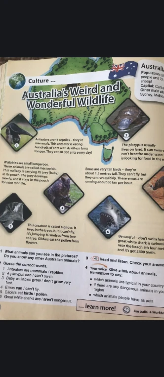 Guess the correct words. 1 Anteaters are mammals / reptiles. 2 A ...