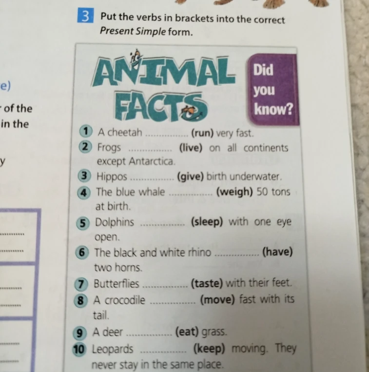 Put the verbs in brackets into the correct Present Simple form ...