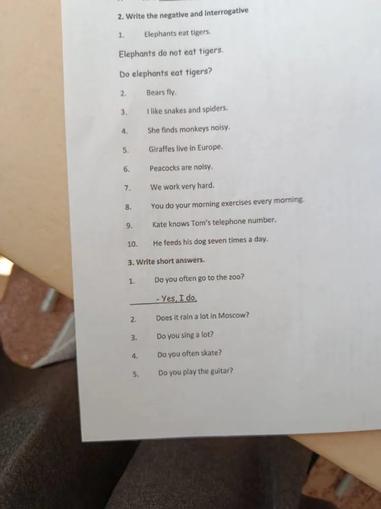 Write the negative and interrogative: 2. Bears fly. 3. I like snakes ...